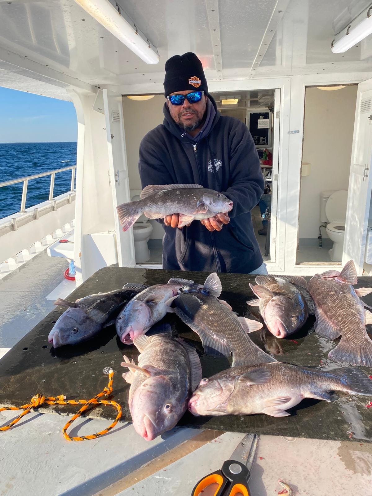 How Long Can Fresh Fish Be Stored Frozen or Refrigerated - Marilyn Jean ...